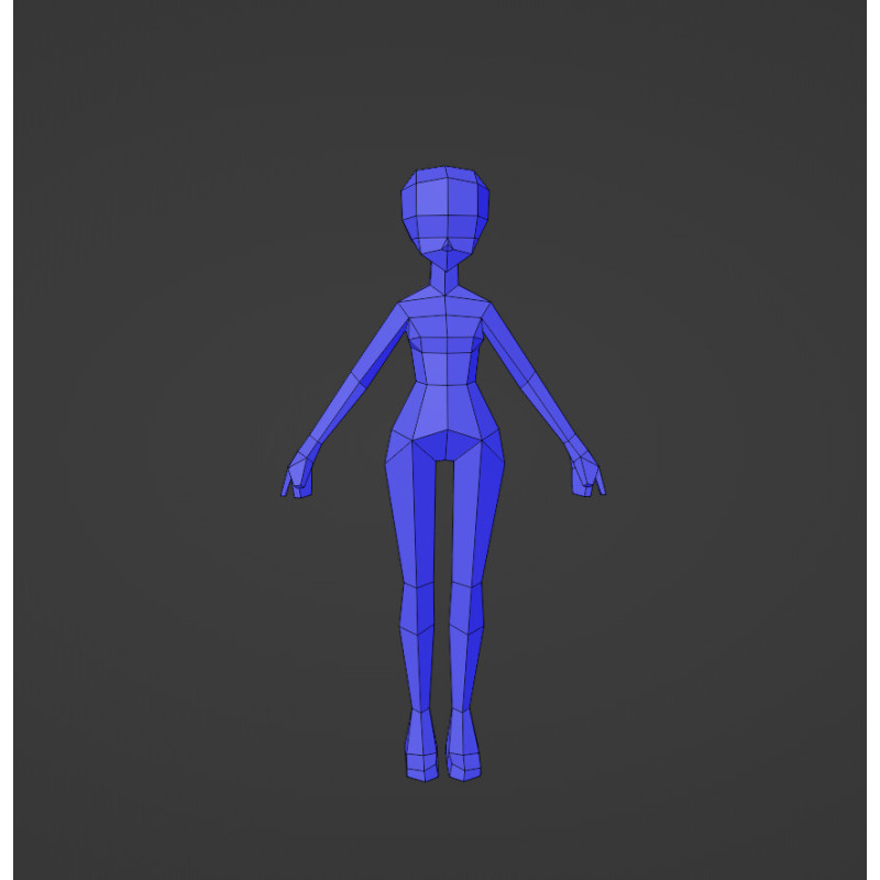 Body 3d Female base of a female characters