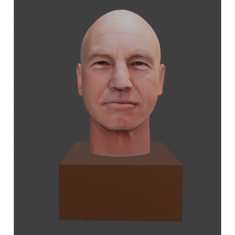 Captain Picard Star Trek 3d model